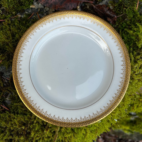 Limoges | Dining | Limoges Elite Works Gold And White Bone China Side ...